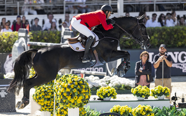 Iron Man van de Padenborre sprzedany do Polski