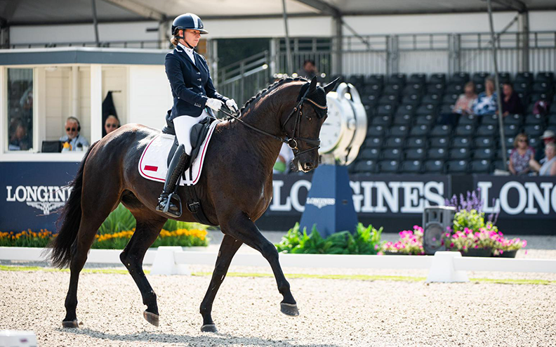Najlepsze młode konie ukoronowane